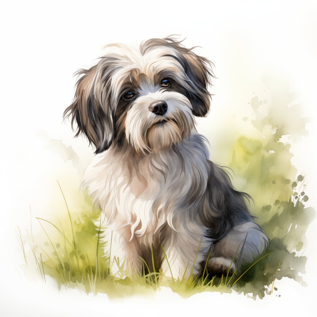 Lowchen Clipart, Little Lion Dog Images, 10 Watercolor Clip Art ...