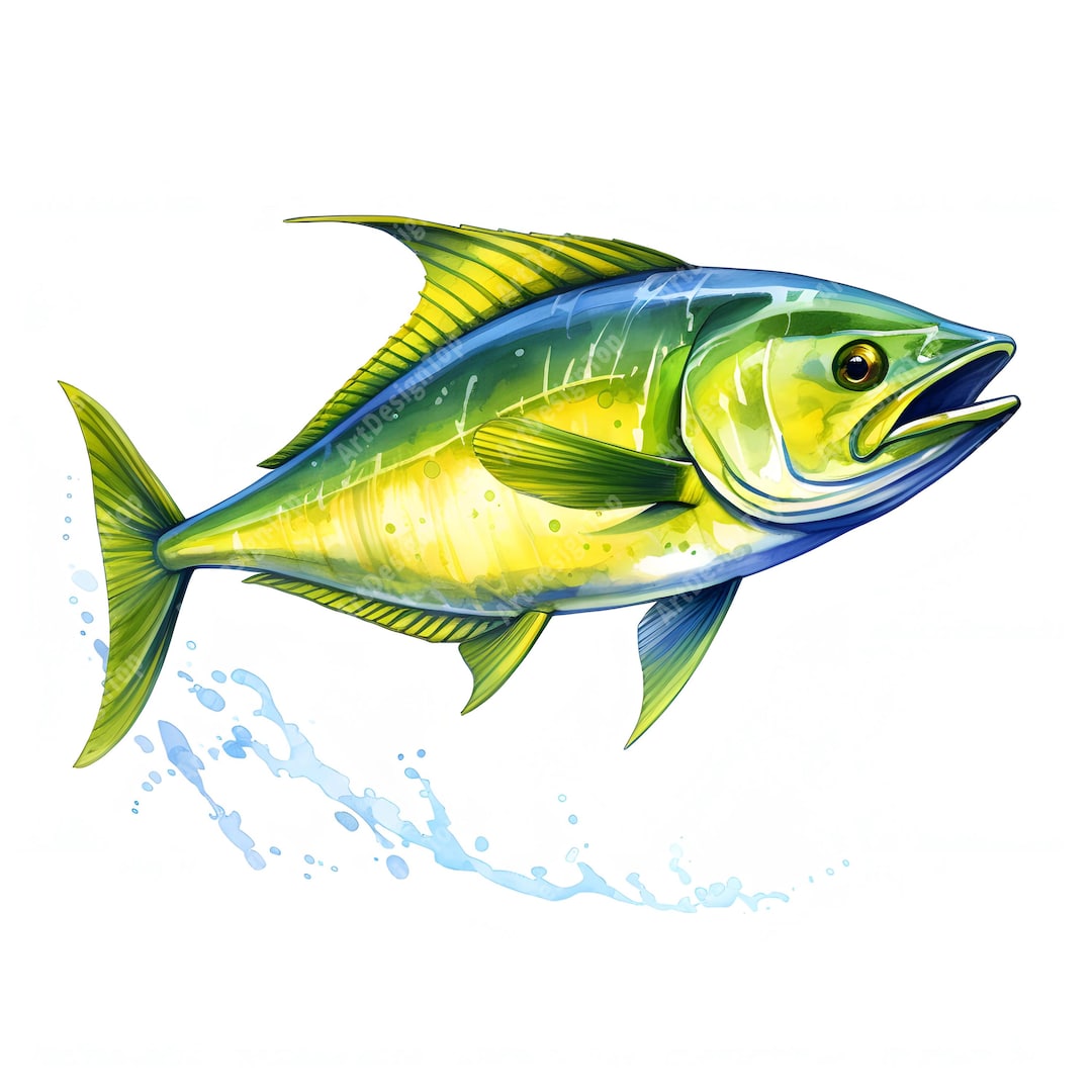 Mahi Mahi Fish Clipart, Mahi Fishing Images, 10 Watercolor Clip Art ...