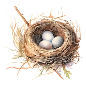 Bird Nest Clipart, Eggs in Nest Images, 10 Watercolor Clip Art ...