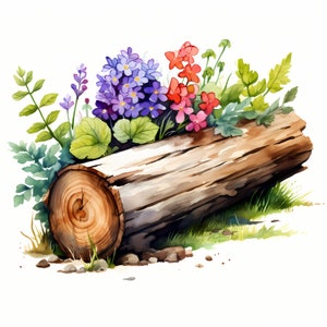 Watercolor Log Clipart: Wildflower Images (jpgs, Commercial Use) - Etsy