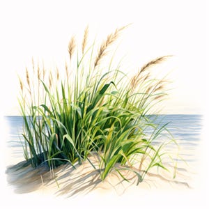 Watercolor Beach Grass Clipart: Coastal Landscape JPG Images ...