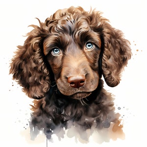 Irish Water Spaniel Clipart, Puppy Dog Images, 10 Watercolor Clip Art ...