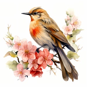 Bird With Flowers Clipart, Floral Birds Images, 10 Watercolor Clip Art ...