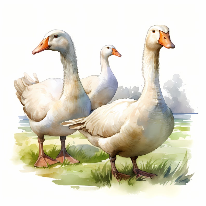 Goose Clipart, Farm Geese Images, 10 Watercolor Clip Art, Printable ...