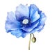 Watercolor Blue Poppy Clipart: Floral JPG Images (commercial Use) - Etsy