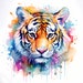 Cute Tiger Clipart, Tiger Cub, Big Wild Cat Images, 10 Watercolor Clip ...