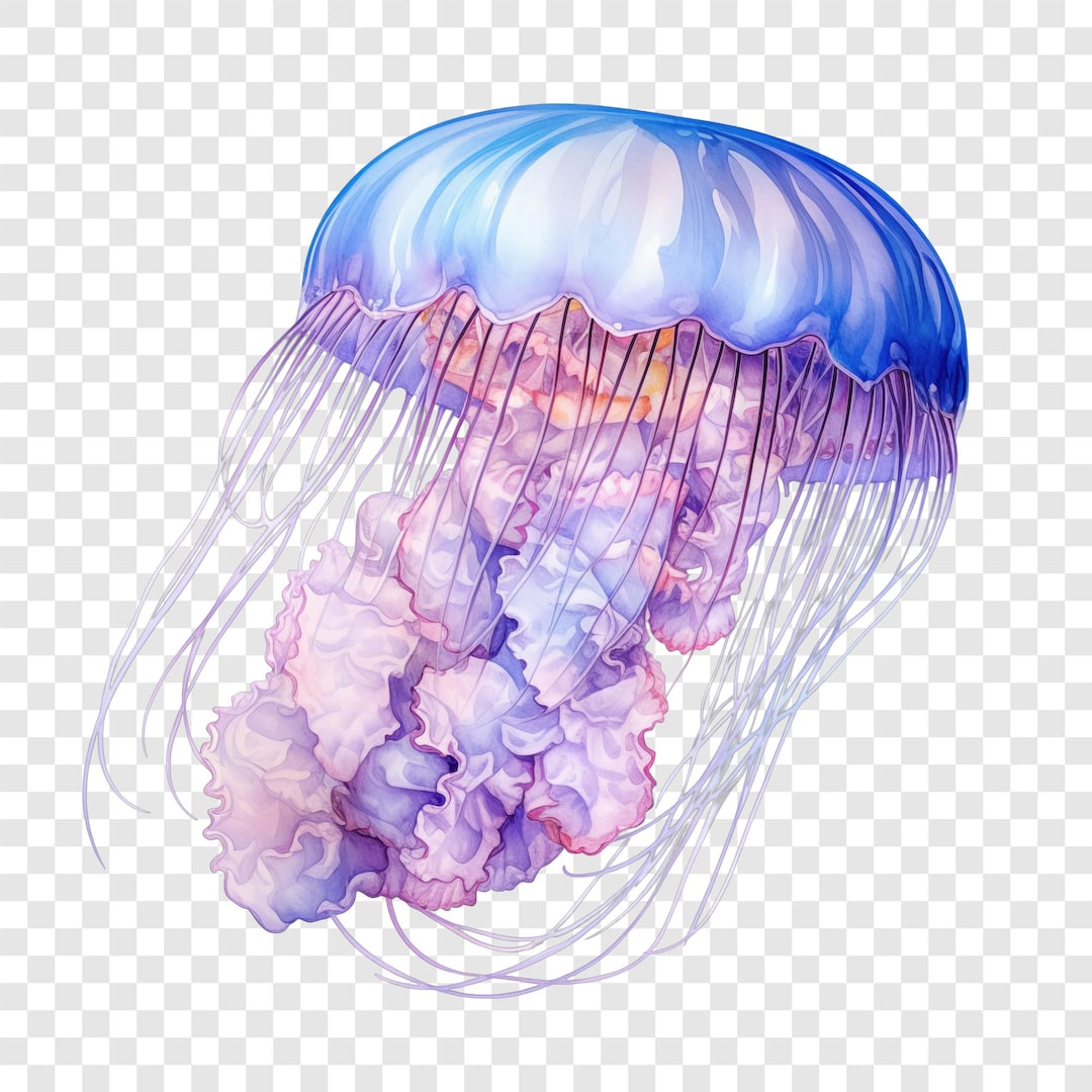 10 PNG Jellyfish Clipart, Ocean Sea Creature Images, Watercolor Clip ...