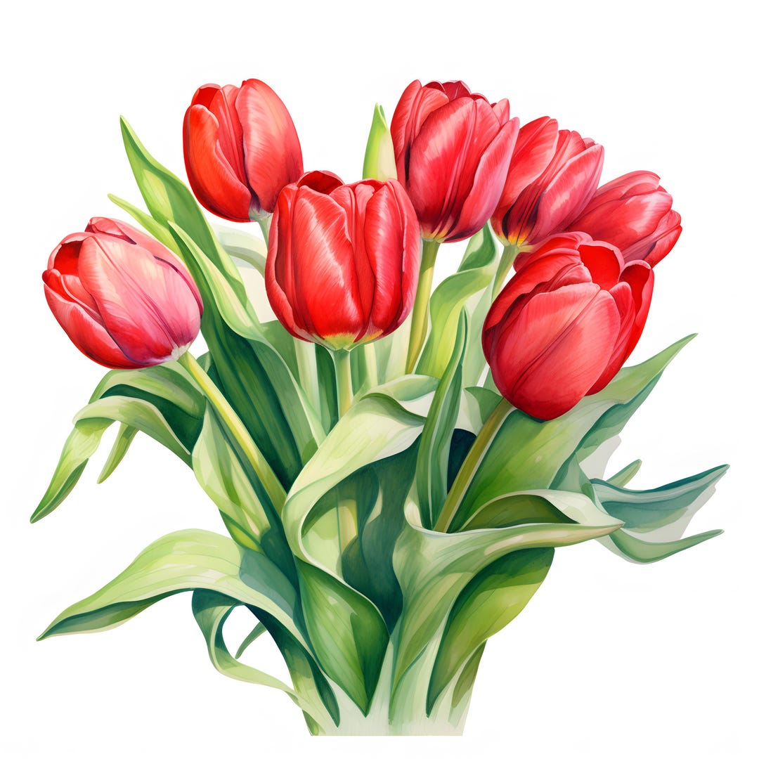 Red Tulips Clipart, Tulips Bouquet Images, 10 Watercolor Clip Art ...