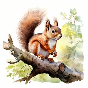 Squirrel Clipart, Squirrel on Branch Images, 10 Watercolor Clip Art ...