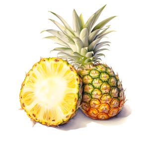 Pineapple Clipart, Pine Apple Half Images, 10 Watercolor Clip Art ...