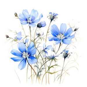 Blue Wildflowers Clipart, Blue Wild Flowers Images, 10 Watercolor Clip ...