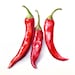 Watercolor Red Hot Chilli Peppers Clipart: Printable JPG Images ...
