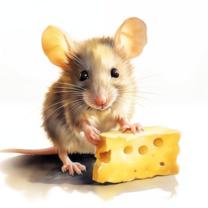 10 Mouse With Cheese, Mouse Eating Cheese JPG, Watercolor Clipart ...