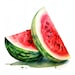 Watermelon Fruit Clipart, Summer Fruit Images, 10 Watercolor Clip Art ...