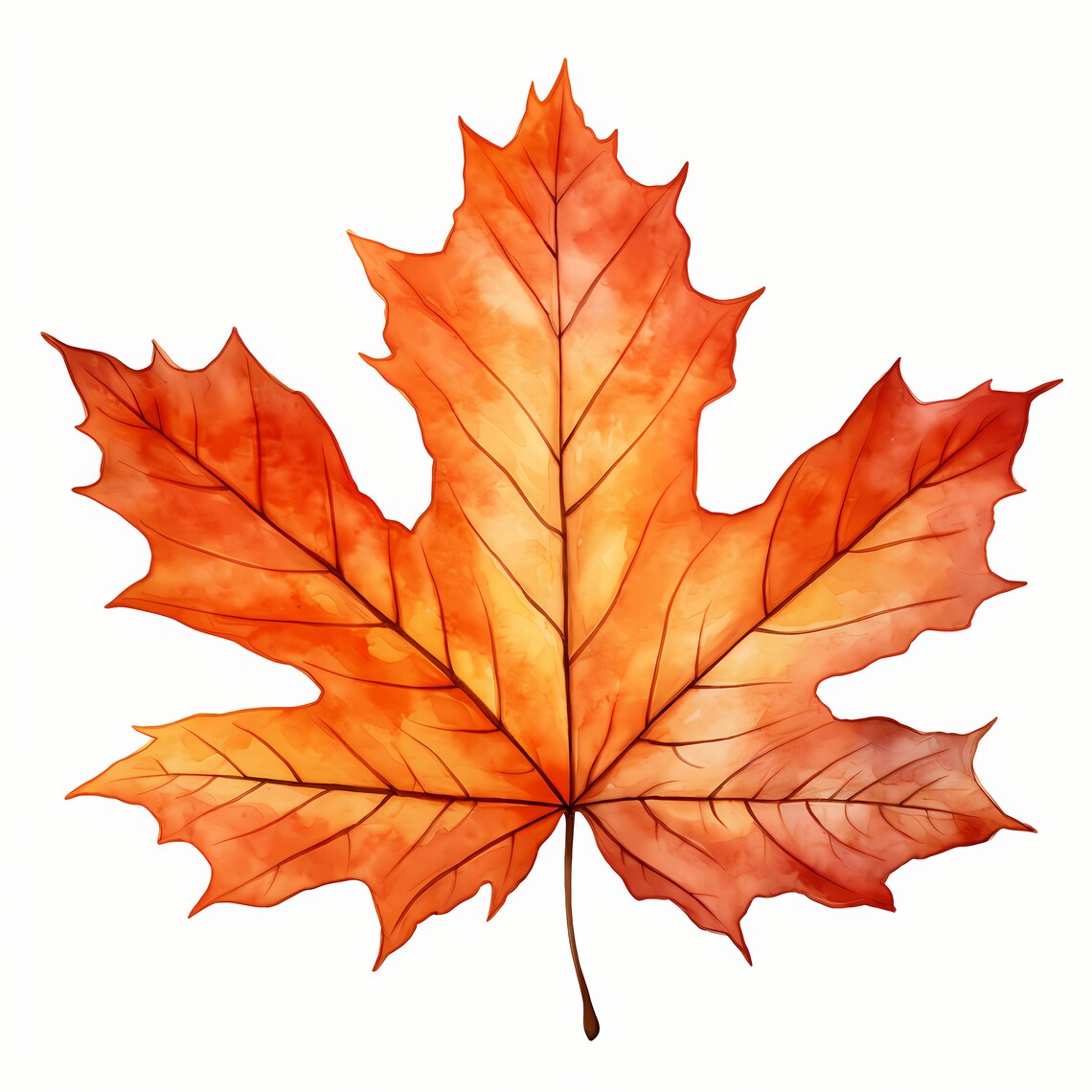 Watercolor Maple Leaf Clipart: Autumn Canadian Leaves (jpgs, Commercial ...
