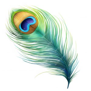 Peacock Feather Clipart, Elegant Feathers Images, 10 Watercolor Clip ...