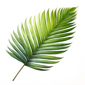 Palm Beach Leaf Clipart, Tropical Leaf Images, 10 Watercolor Clip Art ...