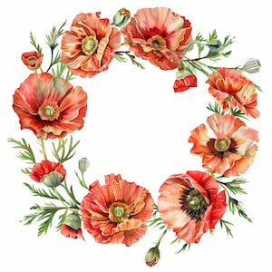 Poppy Wreath Clipart, Red Poppy Flowers Images, 10 Watercolor Clip Art ...