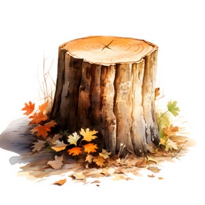 Autumn Stump Clipart, Autumn Wood Stump Images, 10 Watercolor Clip Art ...