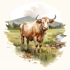 Farm Bull Clipart, Bull Images, 10 Watercolor Clip Art, Printable Jpgs ...