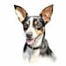Rat Terrier Clipart, Rat Terrier Dog Images, 10 Watercolor Clip Art ...