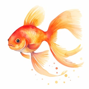 Goldfish Clipart, Golden Fish Images, 10 Watercolor Clip Art, Printable ...
