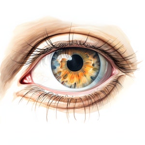 Colorful Eye Clipart, Abstract Eyeballs Images, 10 Watercolor Clip Art ...