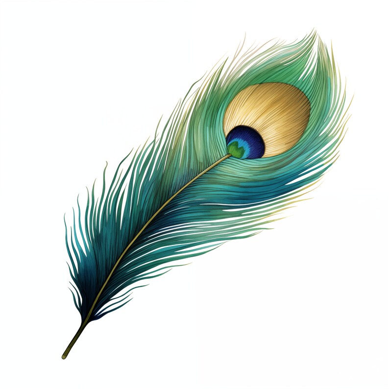 Peacock Feather Clipart, Peacock Feathers Images, 10 Watercolor Clip ...