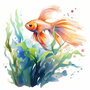 Aquarium Fish Clipart, Goldfish Images, 10 Watercolor Clip Art ...