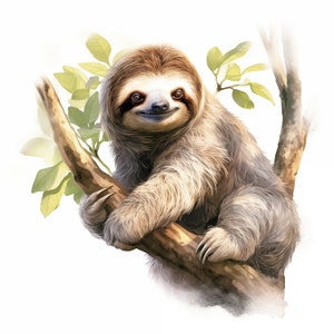 Sloth Clipart, Sloths Images, 10 Watercolor Clip Art, Printable Jpgs ...