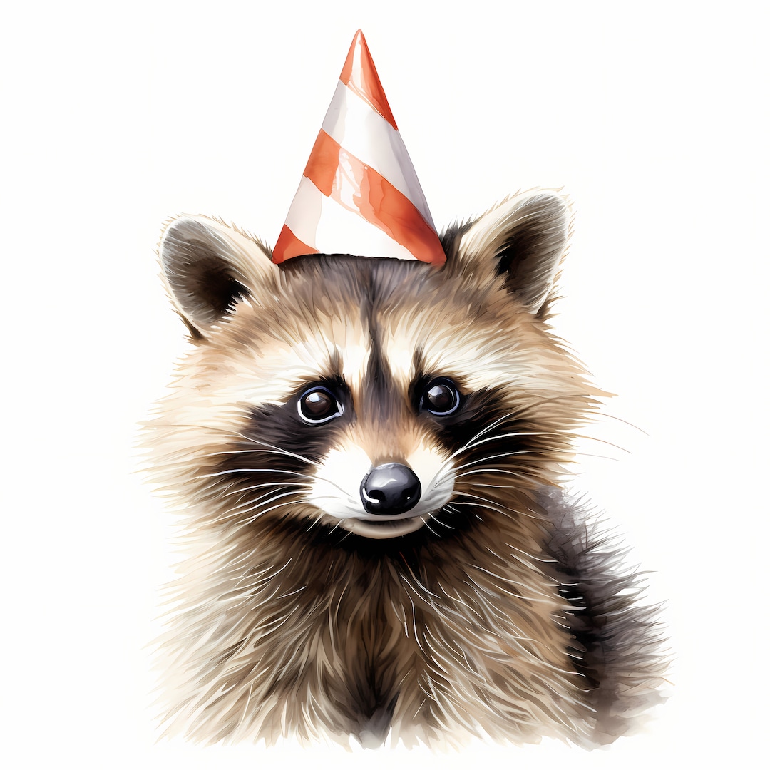 Funny Raccoon Clipart, Raccoon With Party Hat Images, 10 Watercolor ...