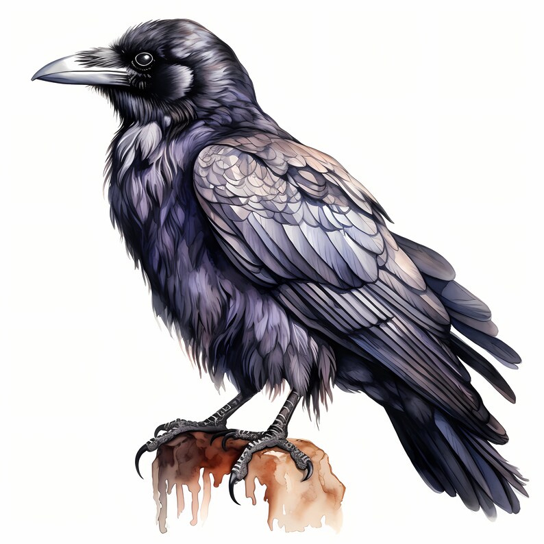 Raven Clipart, Common Raven, Black Crow Images, 10 Watercolor Clip Art ...
