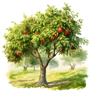 Watercolor Apple Tree Clipart: Orchard Images (digital Download) - Etsy