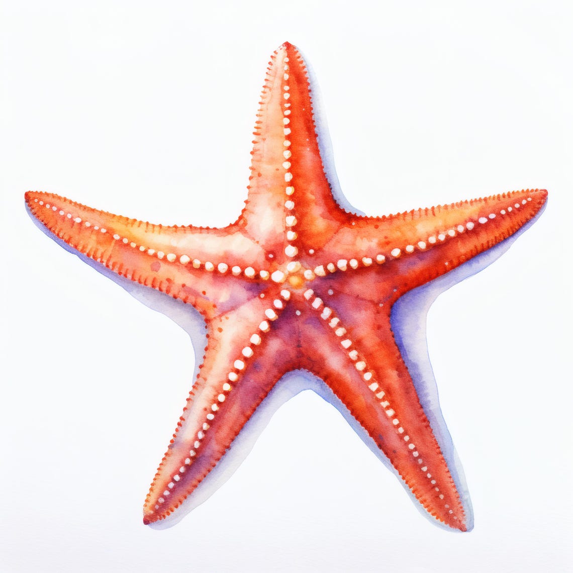 Starfish Clipart, Ocean Sea Star Images, 10 Watercolor Clip Art ...