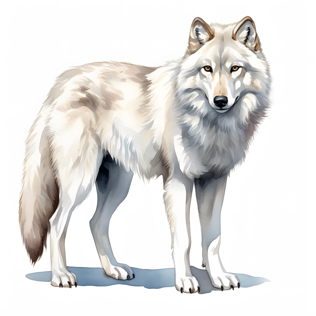 Arctic Wolf Clipart, Christmas Wolves Images, 10 Watercolor Clip Art ...