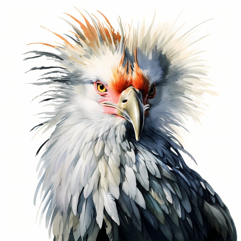 Watercolor Secretary Bird Clipart: Printable Bird of Prey Images (jpgs ...