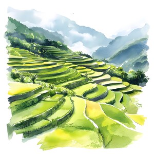 Terraced Fields Clipart, Rice Fields Images, 10 Watercolor Clip Art ...