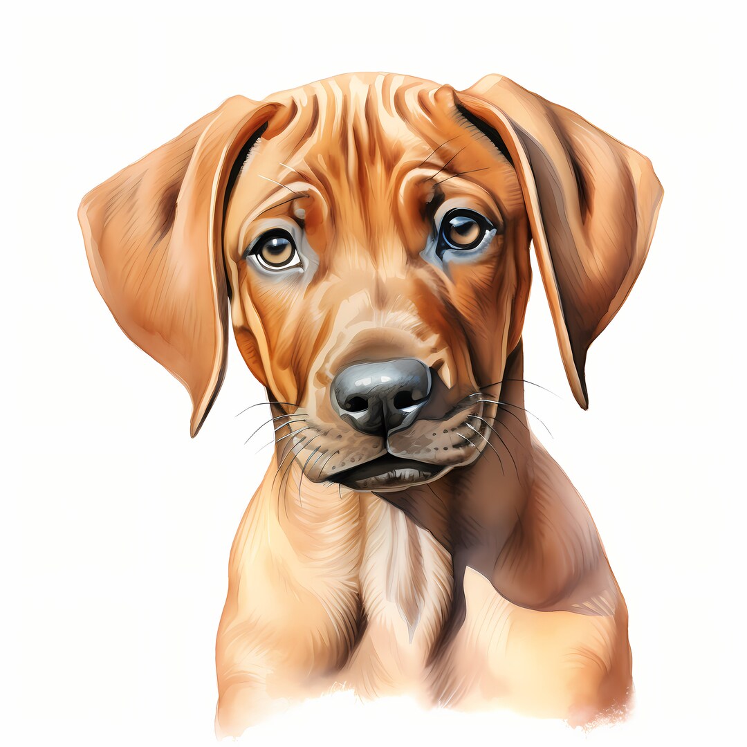 Ridgeback Dog Clipart, Puppy Dog Images, 10 Watercolor Clip Art ...