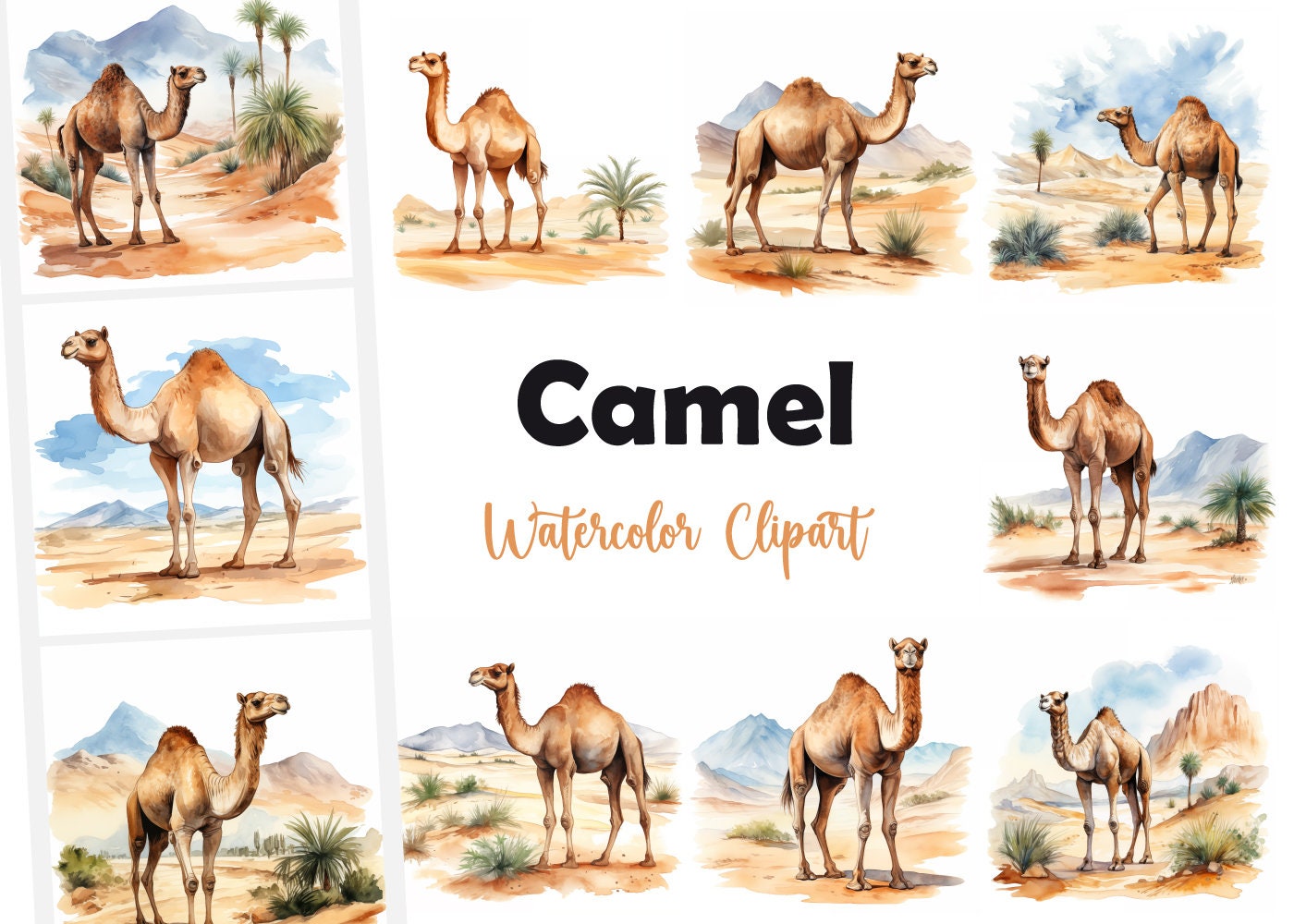 Camel Clipart, Camel in Desert Images, 14 Watercolor Clip Art ...