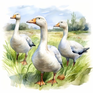 Goose Clipart, Farm Geese Images, 10 Watercolor Clip Art, Printable ...