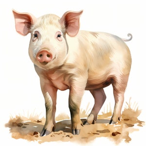 Farmyard Pig Clipart, Farm Pig Images, 10 Watercolor Clip Art ...