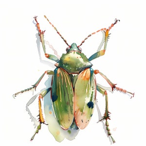 Bugs Clipart, Insects Images, 10 Watercolor Clip Art, Printable Jpgs ...