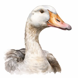 Goose Clipart, Farm Goose Images, 14 Watercolor Clip Art, Printable ...