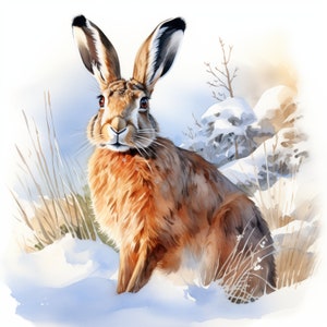 Snow Hare Clipart, Hare in Winter Images, 10 Watercolor Clip Art ...