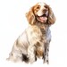 Clumber Spaniel Clipart, Clumber Spaniel Dog Images, 10 Watercolor Clip ...