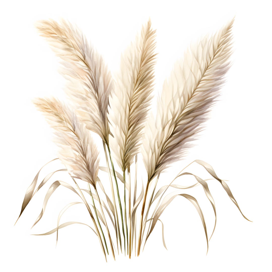 Pampas Grass Clipart, Boho Floral Images, 10 Watercolor Clip Art ...