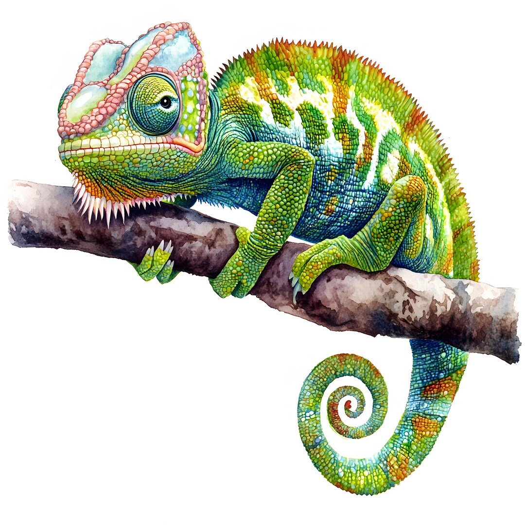 Chameleon Clipart, Tropical Reptile Images, 10 Watercolor Clip Art ...