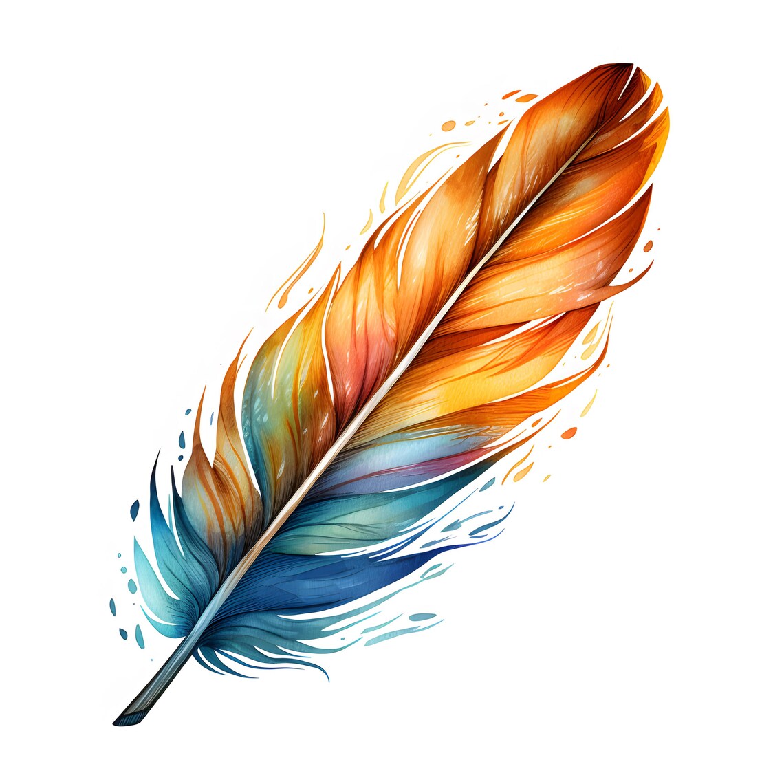 Watercolor Rainbow Feather Clipart: Bird Feather Images (jpgs) - Etsy