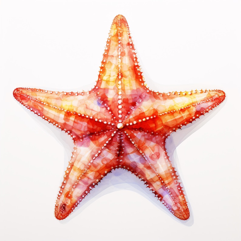 Starfish Clipart, Ocean Sea Life Images, 10 Watercolor Clip Art ...