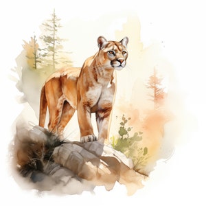 Cougar Clipart, Mountain Lion Images, 10 Watercolor Clip Art, Printable ...